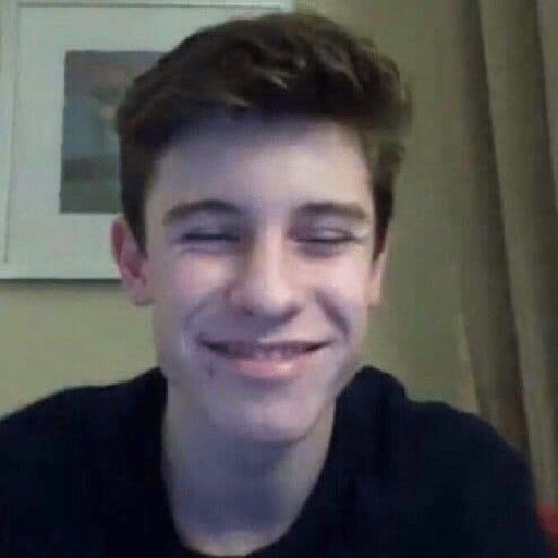 shawn mendes
