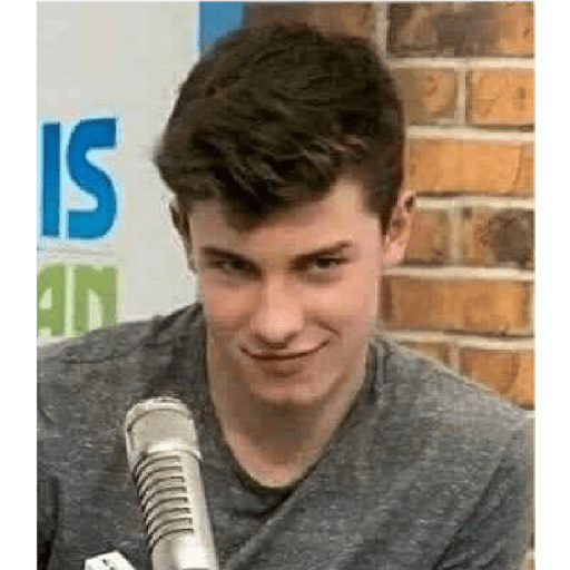 shawn mendes