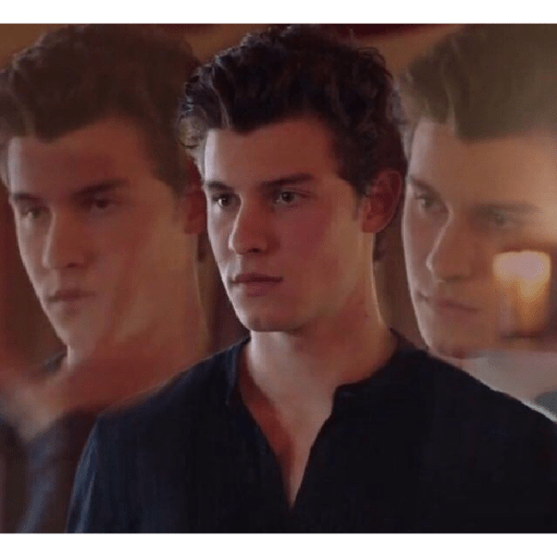 shawn mendes