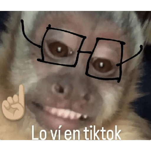 Changuitos🐵🐒🐵con Frases