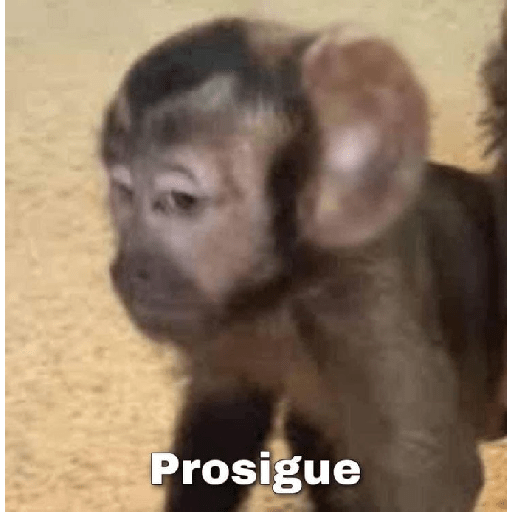 Changuitos🐵🐒🐵con Frases