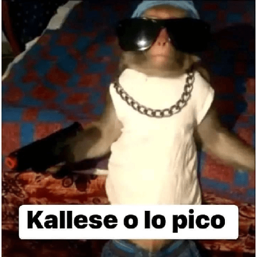 Changuitos🐵🐒🐵con Frases