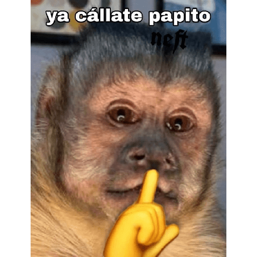 Changuitos🐵🐒🐵con Frases