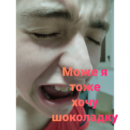 Друзья Италия