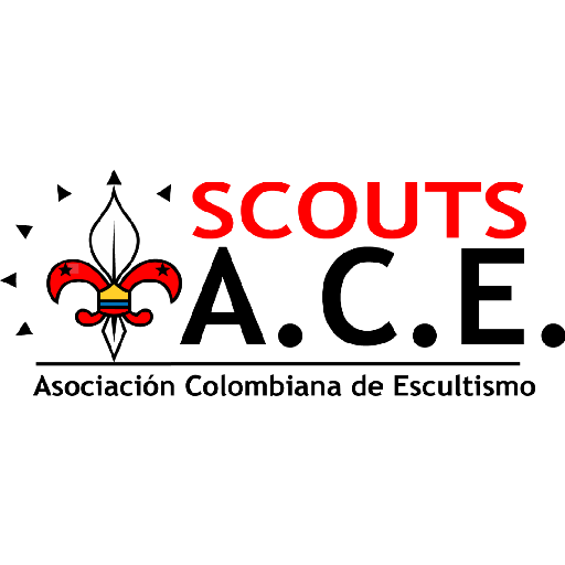 Scouts A.C.E.