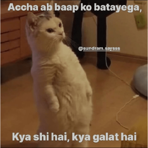 billi kun ig😂