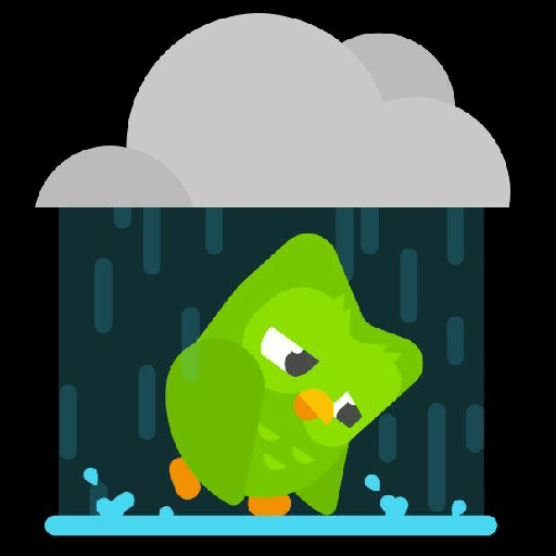 duolingo pack