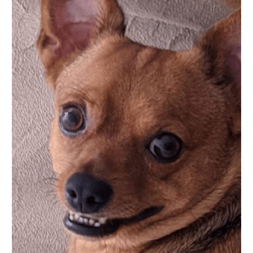 Lilow Junior O. dos Santos