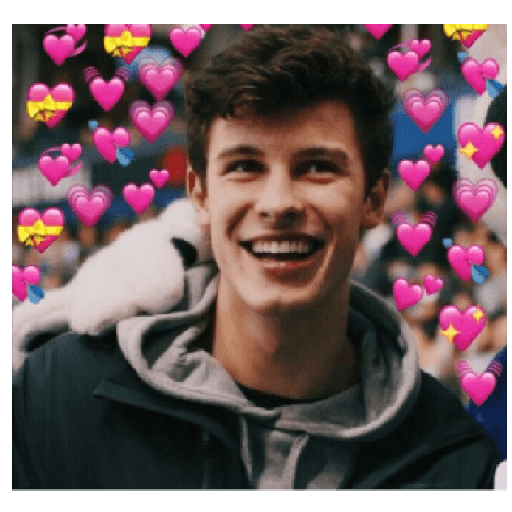 shawn mendes