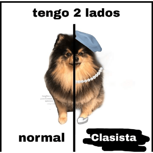Perro con texto
