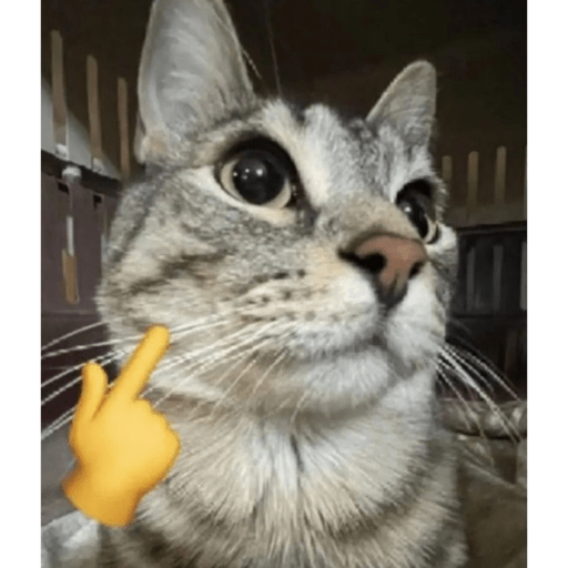 Sticker.ly - Chat Stickers & Memes for WhatsApp