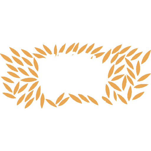 Persona Normal 10 aniv