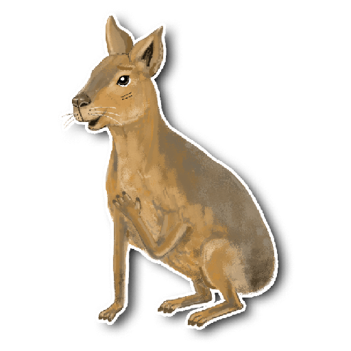 Pasión animal