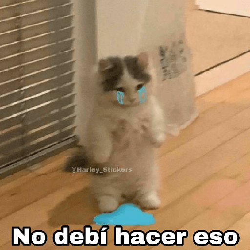 Gatitos SAD 😞 1