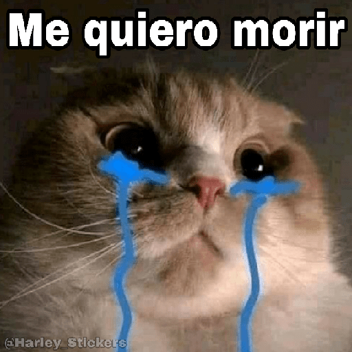 Gatitos SAD 😞 1