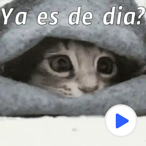 Memes pa' decir buen dia☀️