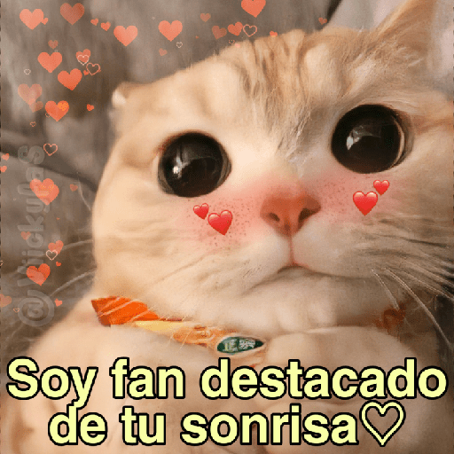 💛Mishis para darte ánimo 😽😻💜