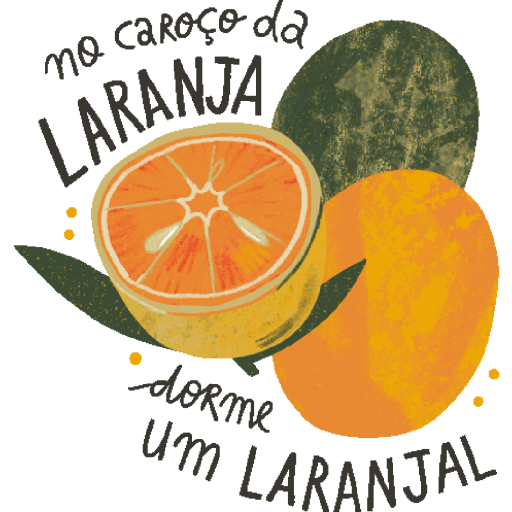 ActionAid Solidariedade