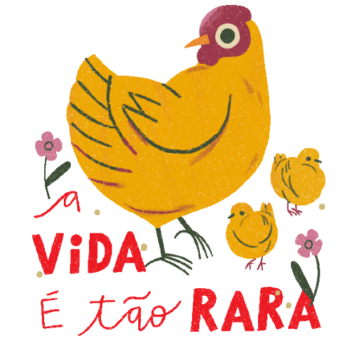 ActionAid Solidariedade