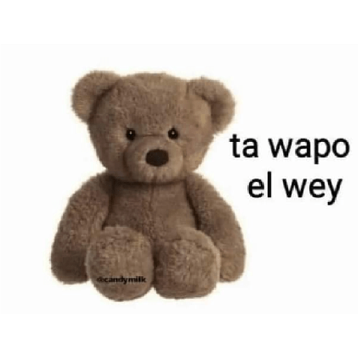 Sticker.ly - Chat Stickers & Memes for WhatsApp