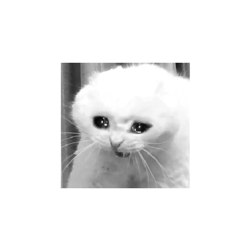 Sticker.ly - Chat Stickers & Memes for WhatsApp