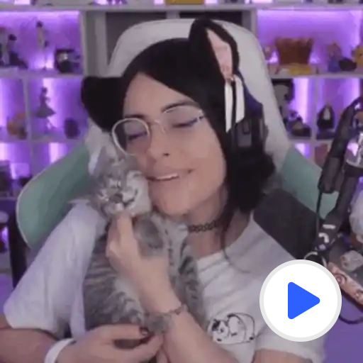 Gatitos de RenRize😻