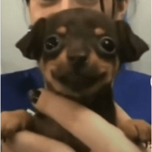 Sticker.ly - Chat Stickers & Memes for WhatsApp