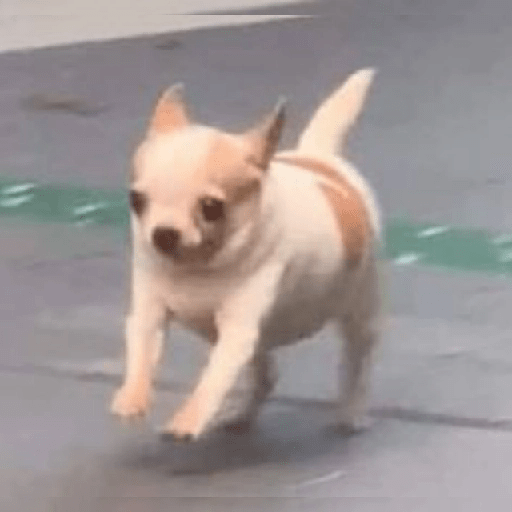 Sticker.ly - Chat Stickers & Memes for WhatsApp