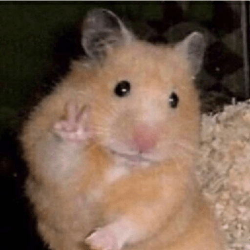 Sticker.ly - Chat Stickers & Memes for WhatsApp