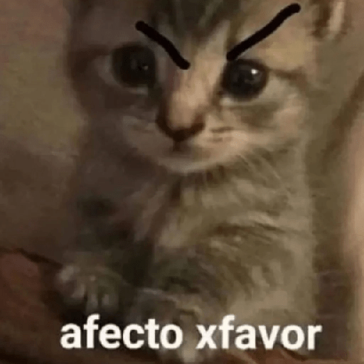 🥭 Gatitos Shitposting 1 😼🥭