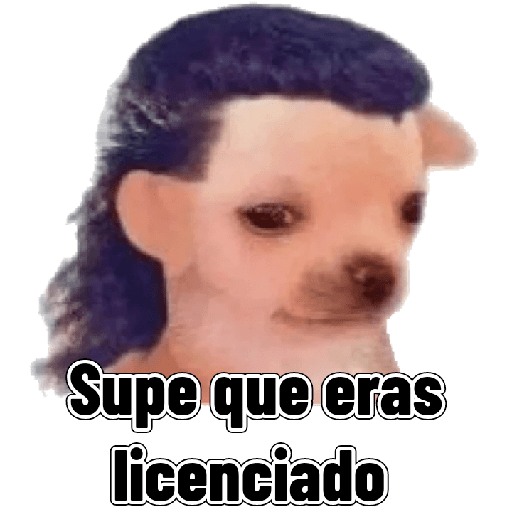 El perrito Tigres del Norte