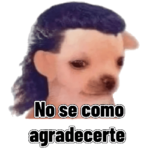 El perrito Tigres del Norte