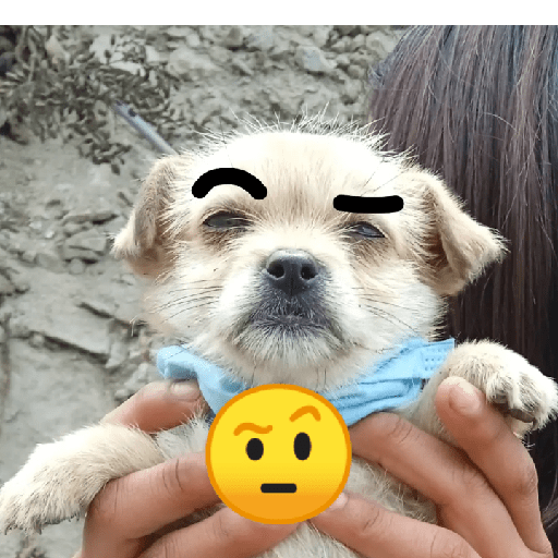 El perro mil oficios