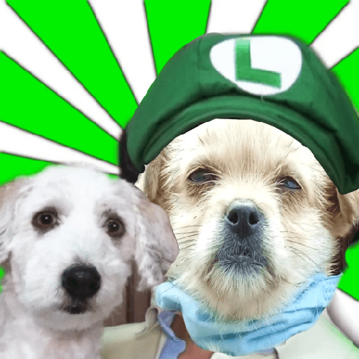 El perro mil oficios