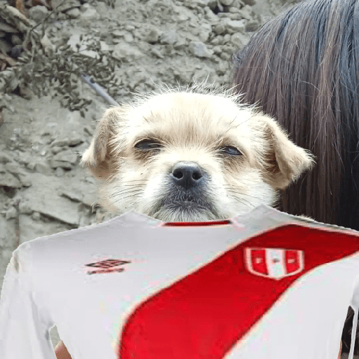 El perro mil oficios