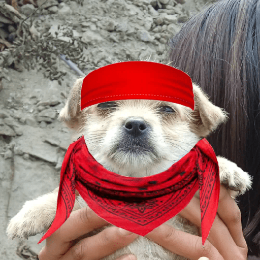 El perro mil oficios