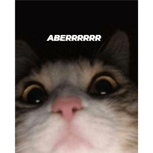 michis tiernos hechos de amor