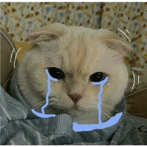 michis tiernos hechos de amor