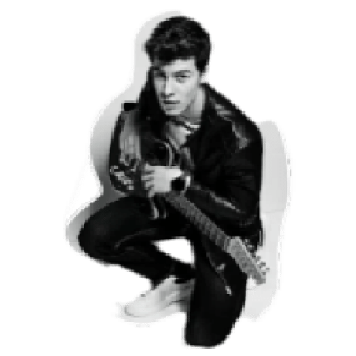 shawn mendes