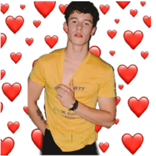 shawn mendes
