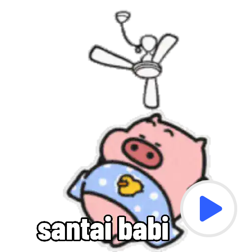 babi lucu kek kamu