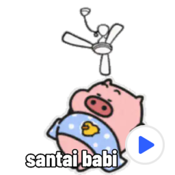 babi lucu kek kamu