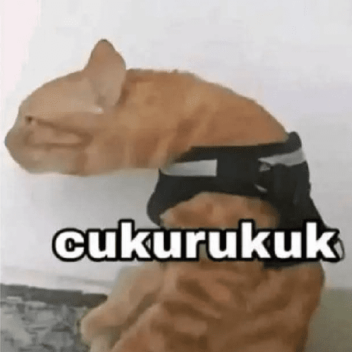 Meme Cukurukuk Bakekok
