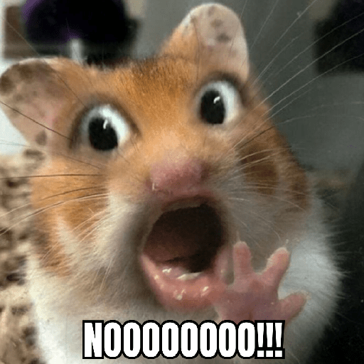 Shocked Reactions 😲