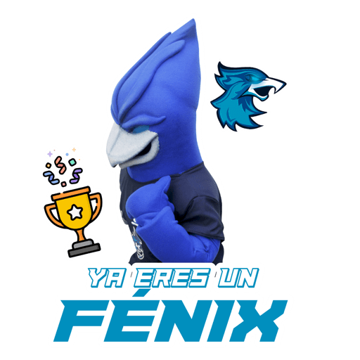CNCI Fénix