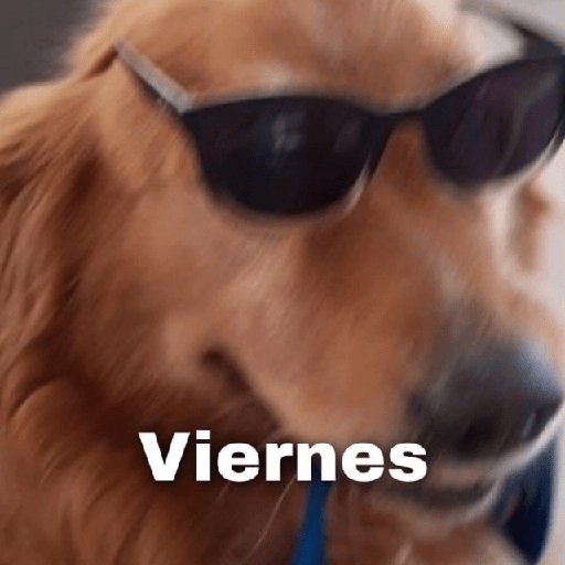 Memes con texto 2 🏝️👀