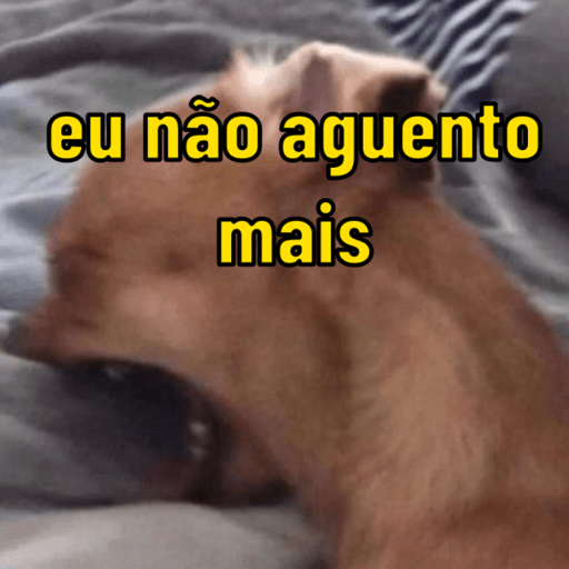 cachorrinhos e memes