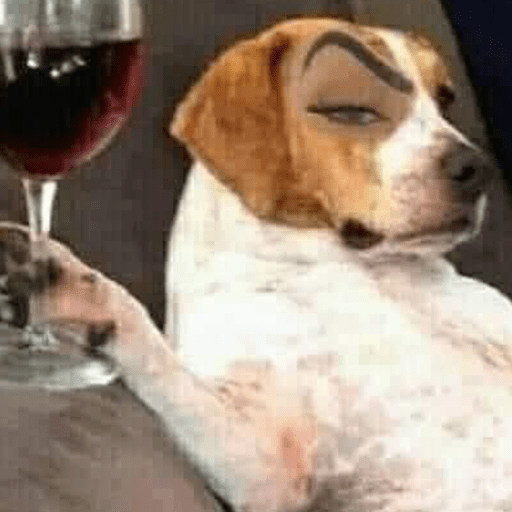 cachorrinhos e memes