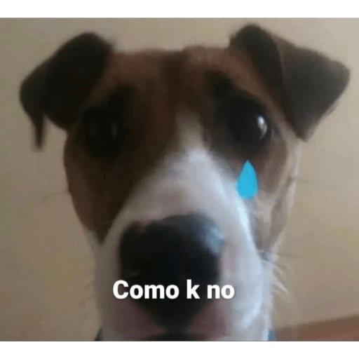 Memes Shitpost 2😂