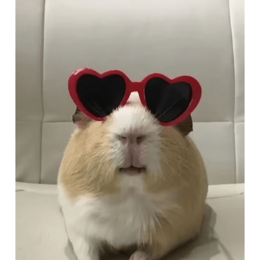 Mohanlal Birthday Stickers